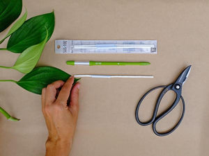 All – Sustee Australia